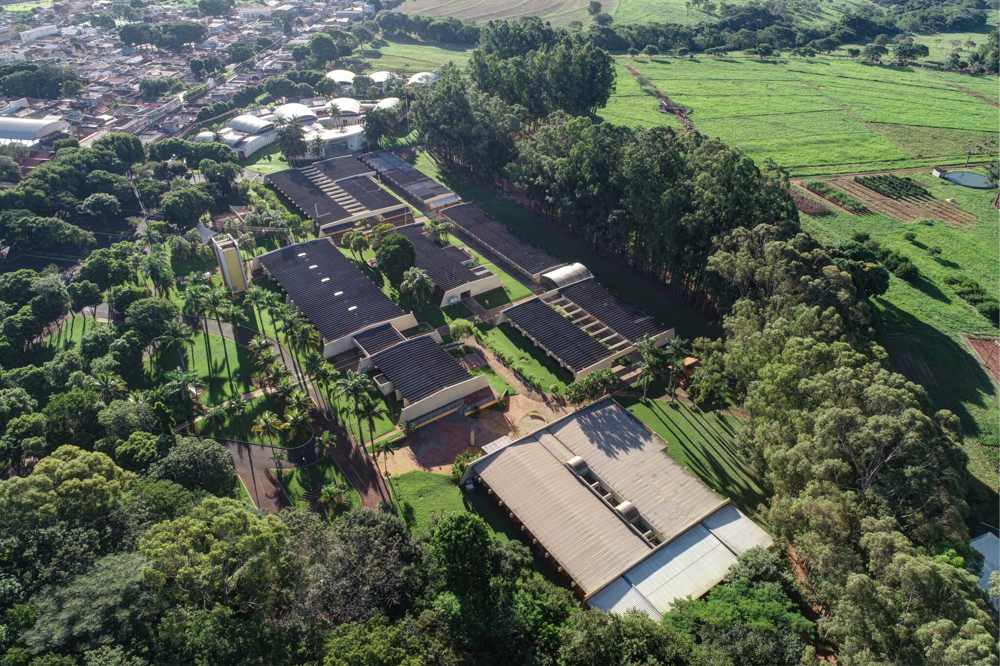 Fazu comemora aprovação de novos cursos de graduação – Fazu News